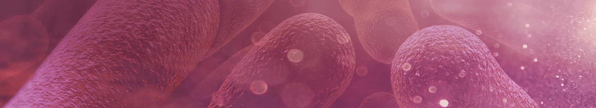 Les endotoxines expliquées! - Nutrex